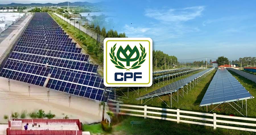 CP Foods Plans to Install Solar Energy Panels at 180 Facilities by 2023 ...
