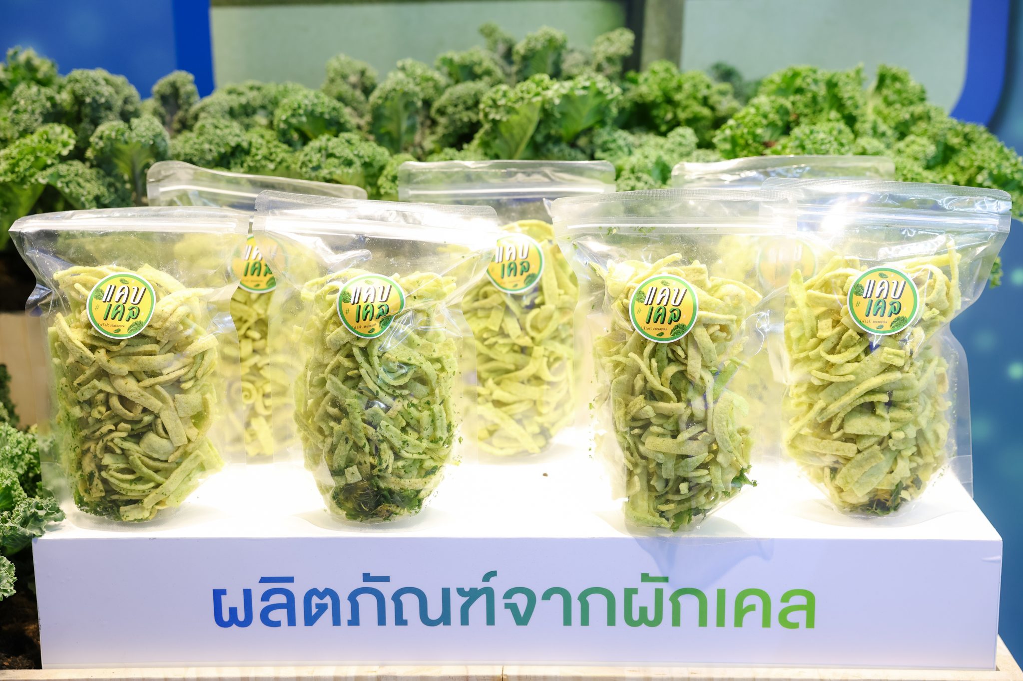 CP Group Positions as Innovation-Driven Leader to Propel Thailand ...